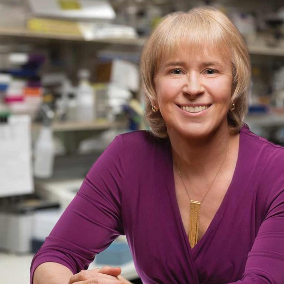 Beverly Emerson, PhD - Salk Institute for Biological Studies