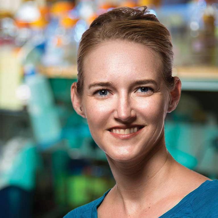 Julie Law, PhD - Salk Institute for Biological Studies