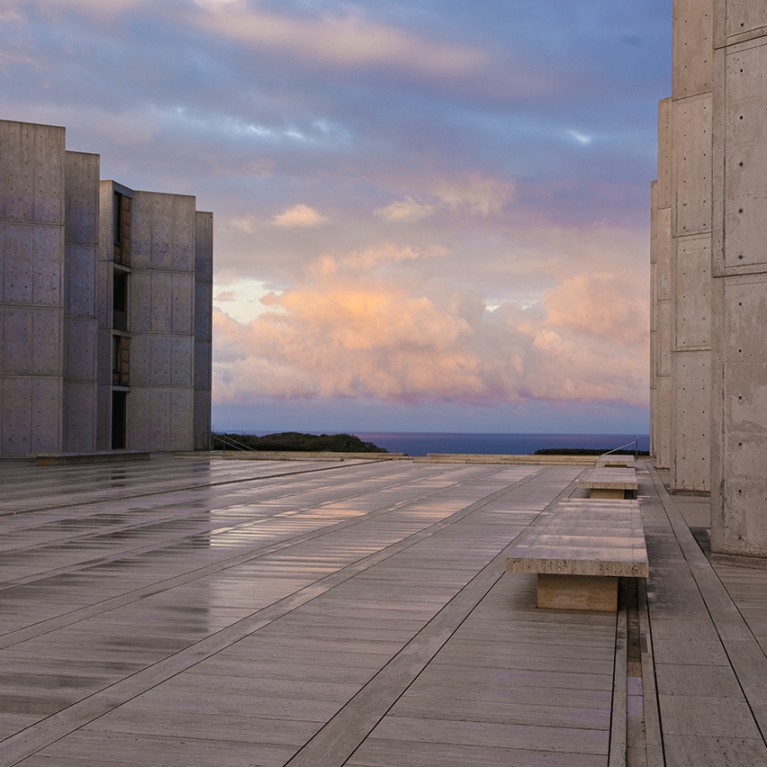 Susan Kaech - Salk Institute for Biological Studies