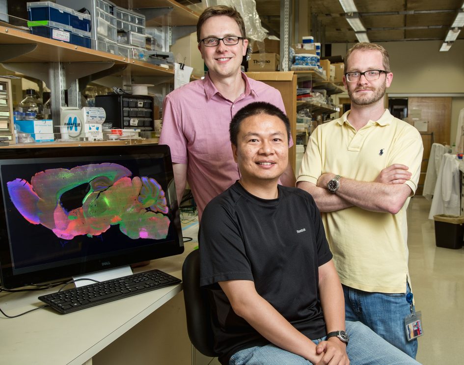 Salk scientists map brain’s action center - Salk Institute for ...