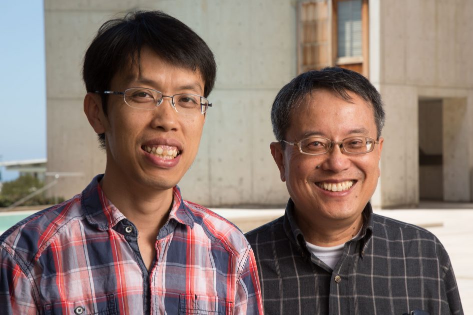 Elevating brain protein allays symptoms of Alzheimer’s and improves ...