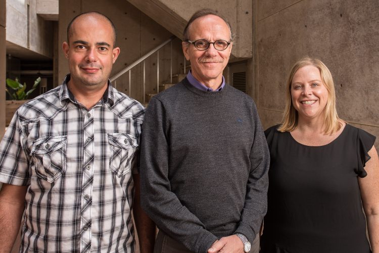 The brain’s stunning genomic diversity revealed - Salk Institute for ...