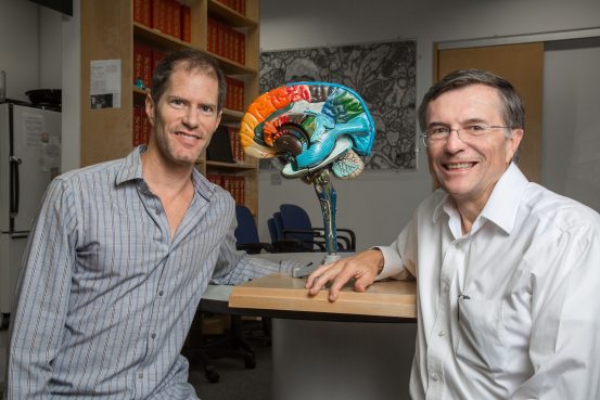 Salk scientists adapt computer program to gauge eye spasm severity ...