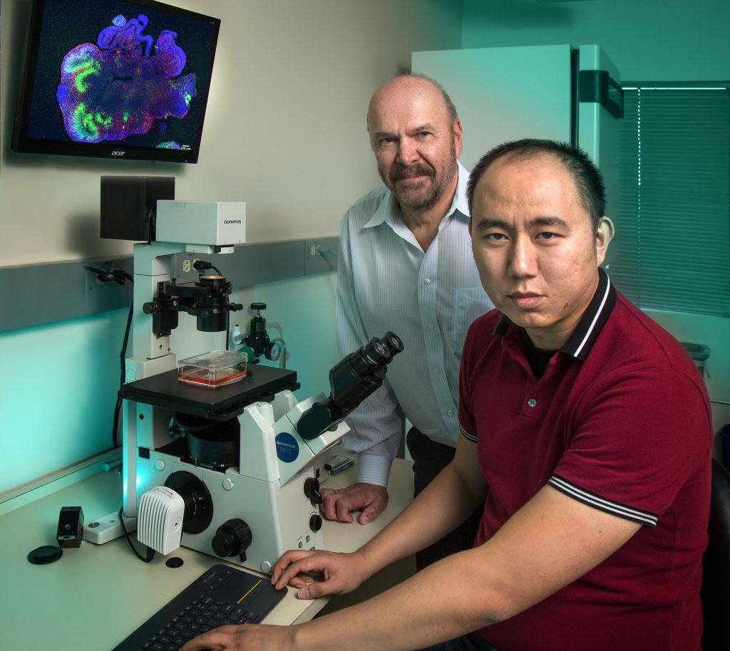 Building a better brain - Salk Institute for Biological Studies