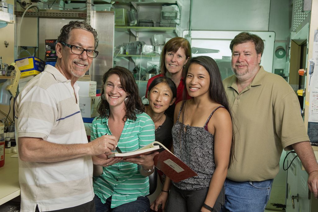 Pancreatic tumors rely on signals from surrounding cells - Salk ...