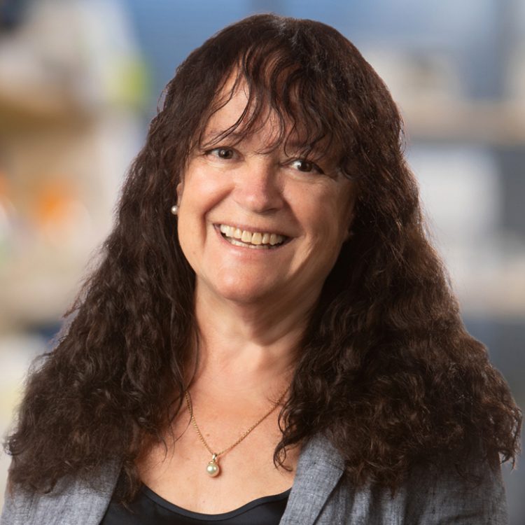 Faculty - Salk Institute for Biological Studies