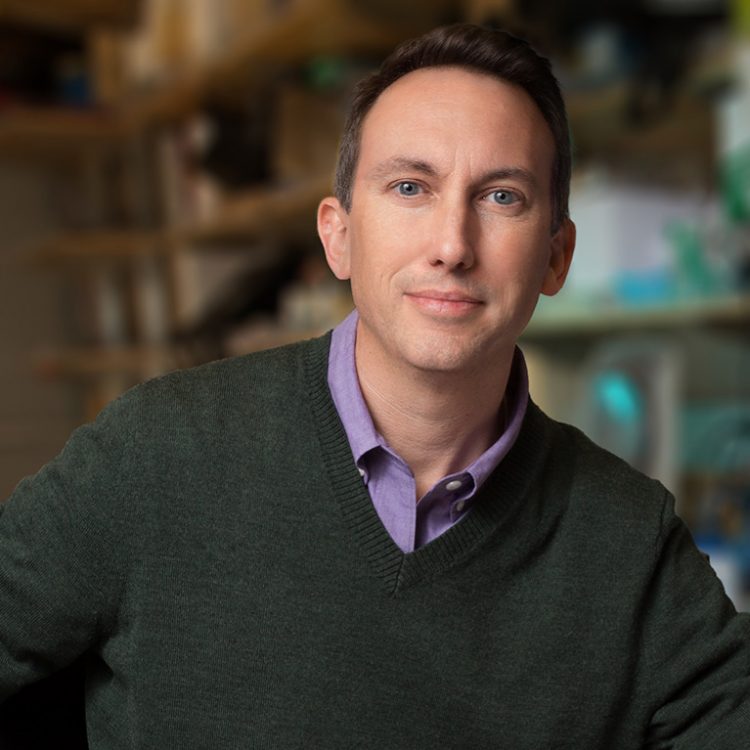 Salk Institute scientist Reuben Shaw receives National Cancer Institute Outstanding Investigator ...