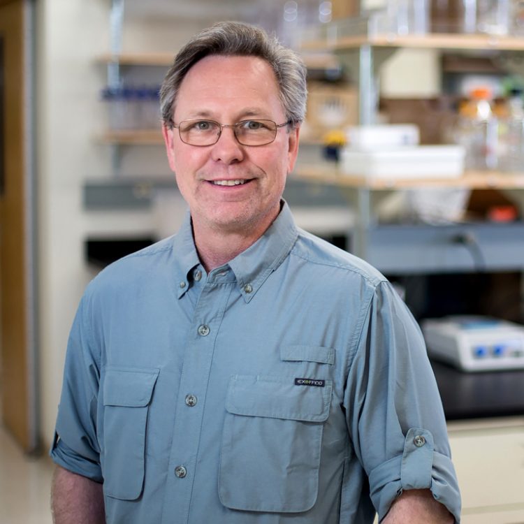 Three Salk faculty honored with endowed chairs - Salk Institute for ...