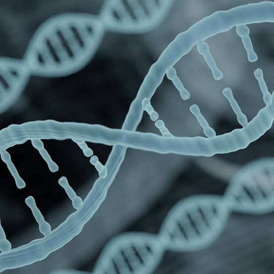 Single-Cell and Spatial Omics - Salk Institute for Biological Studies