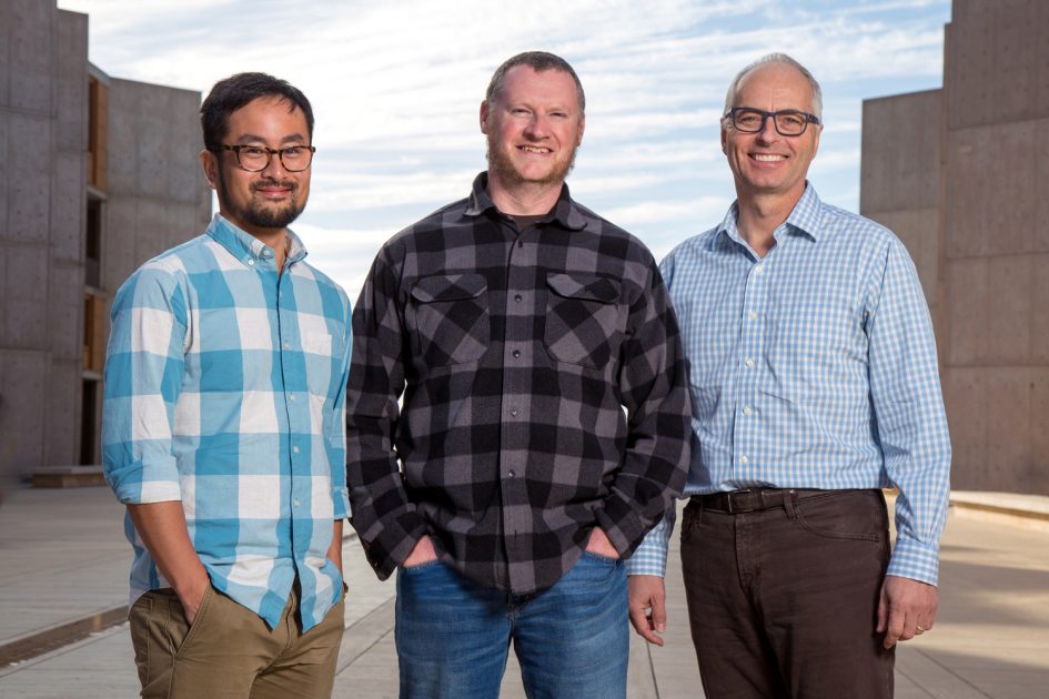 How the brain tells our limbs apart - Salk Institute for Biological Studies