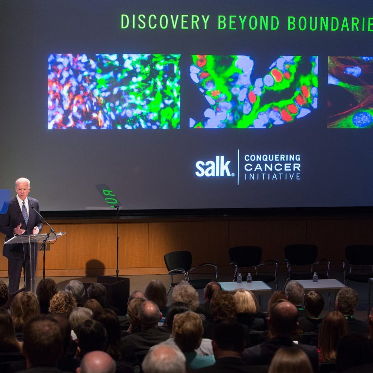 Salk Institute for Biological Studies
