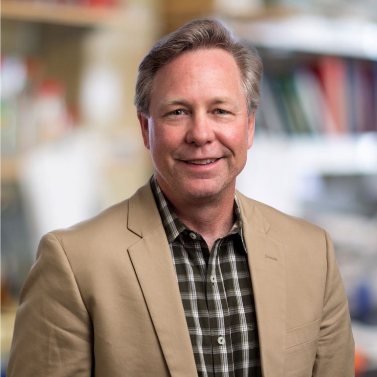 News - Salk Institute for Biological Studies