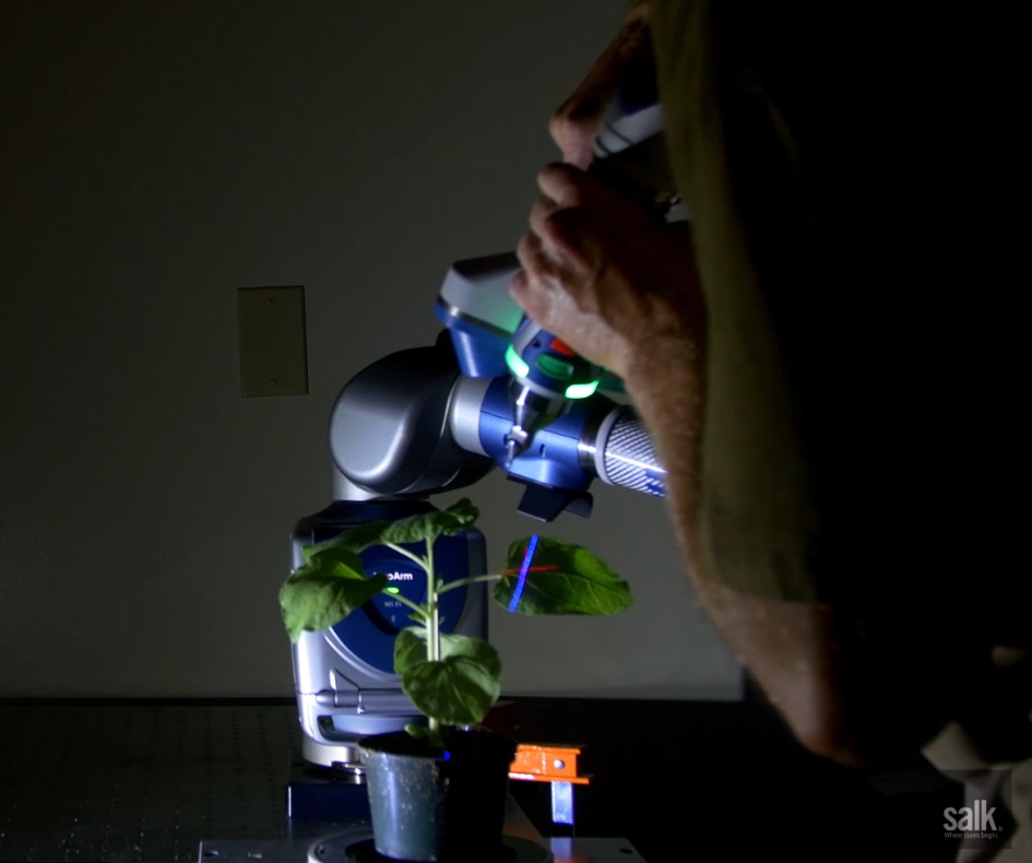 Machine learning helps plant science turn over a new leaf - Salk ...