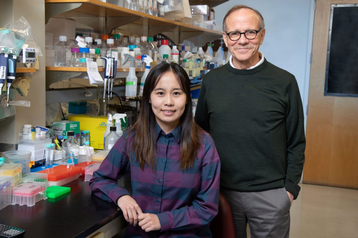 Salk scientists link rapid brain growth in autism to DNA damage - Salk ...