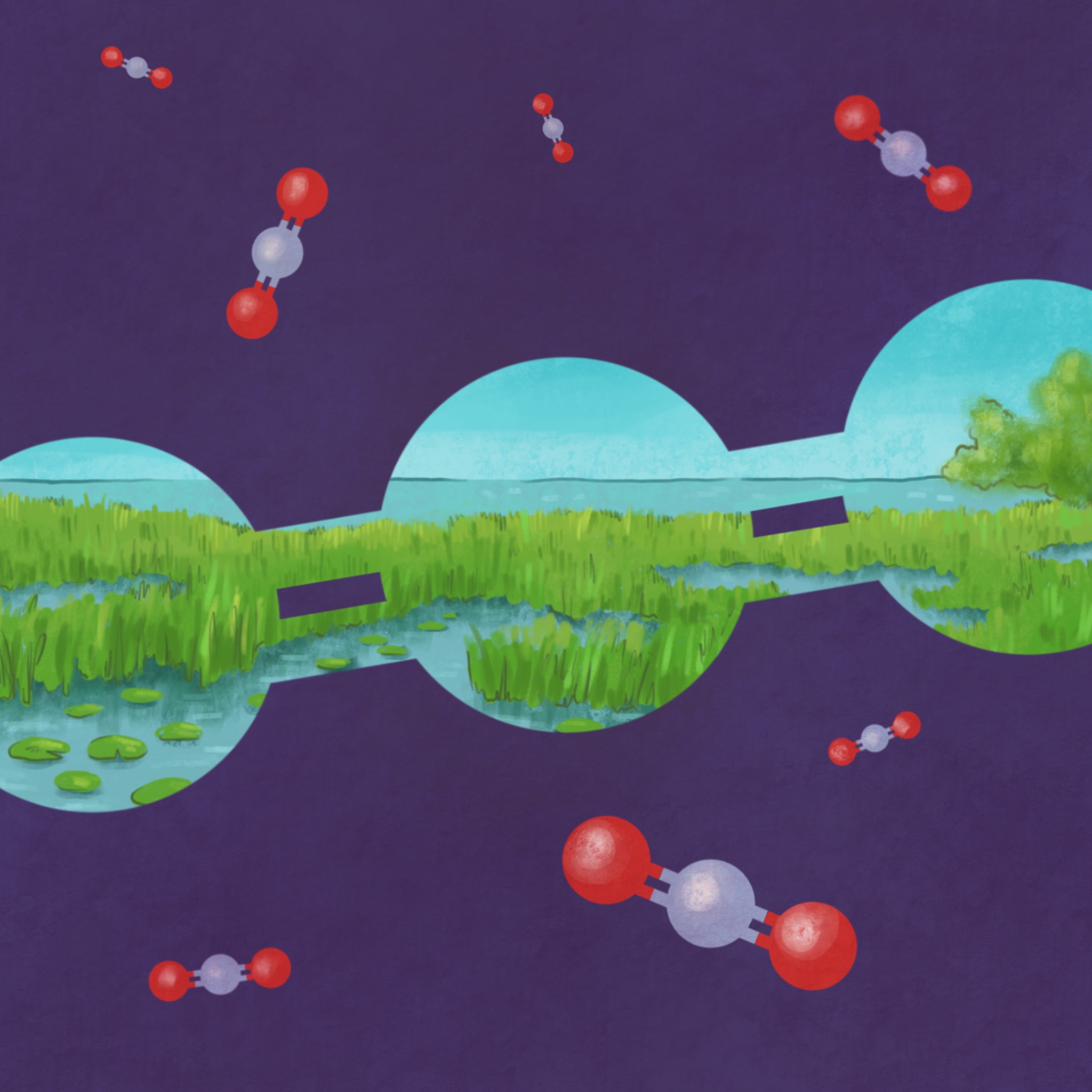 Episode 013: Where Cures Begin - Joseph Noel - Salk Institute for ...