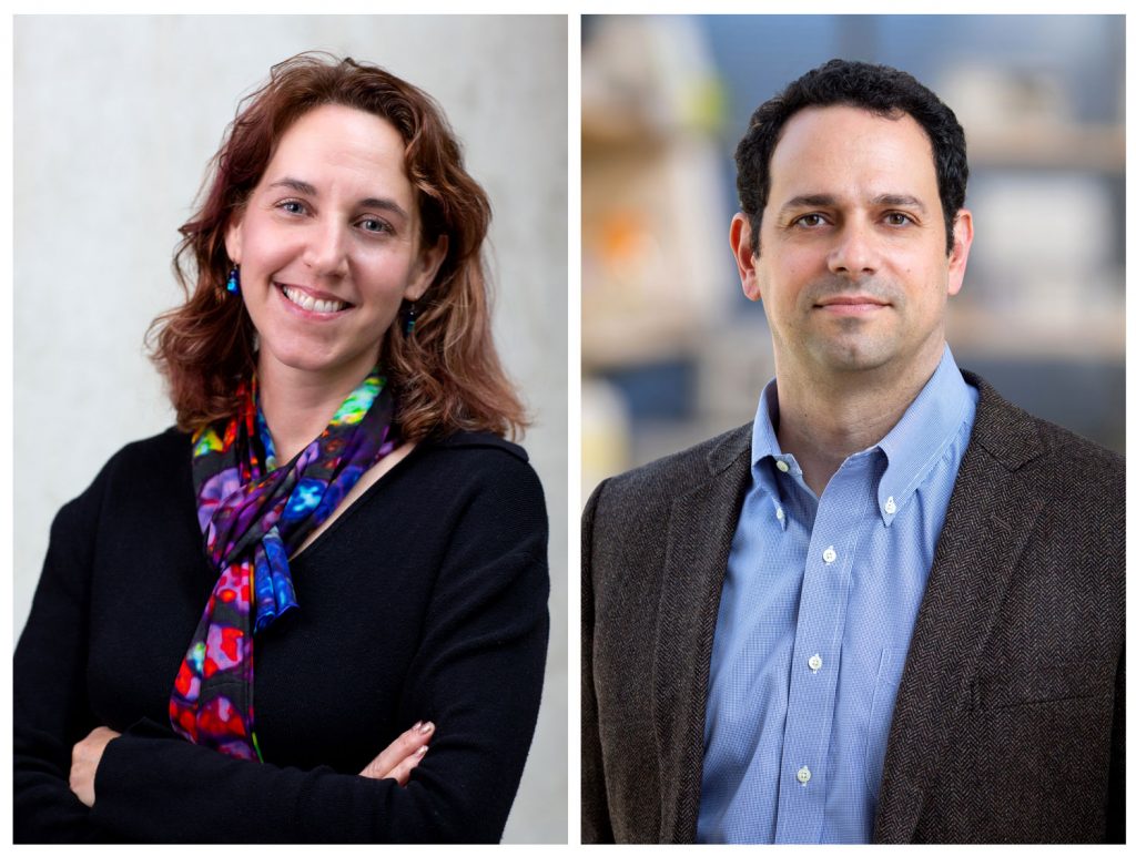 Salk Professors Susan Kaech and Alan Saghatelian named 2020 AAAS ...