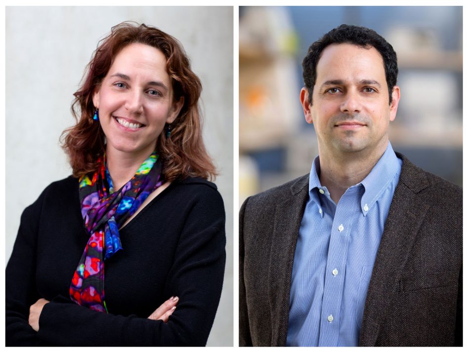 Salk Professors Susan Kaech and Alan Saghatelian named 2020 AAAS ...