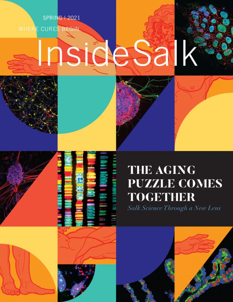 Salk Institute for Biological Studies