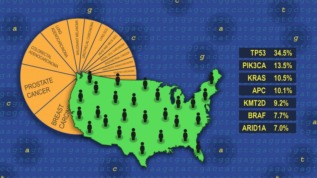Salk scientists reveal most commonly mutated gene in all cancers - Salk ...