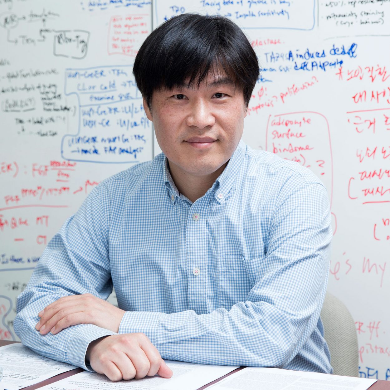 The protein that keeps the pancreas from digesting itself - Salk ...