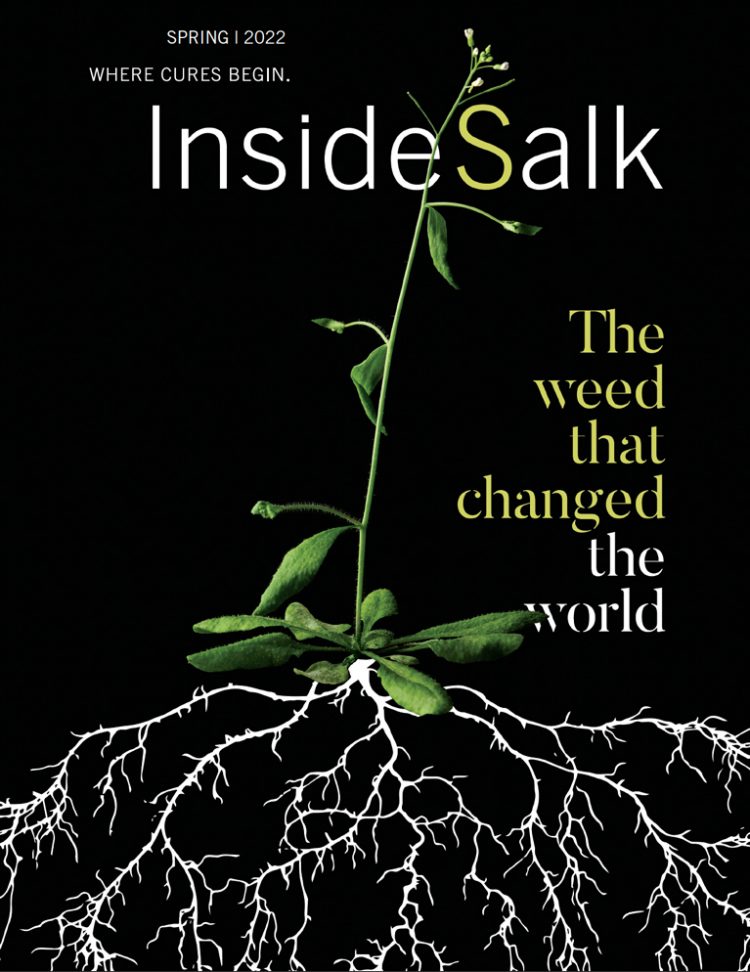 Salk Institute for Biological Studies