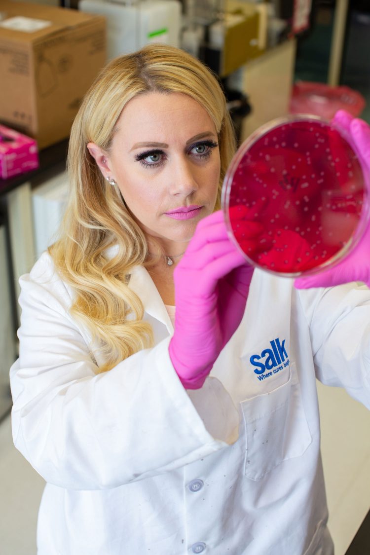 Salk Institute for Biological Studies