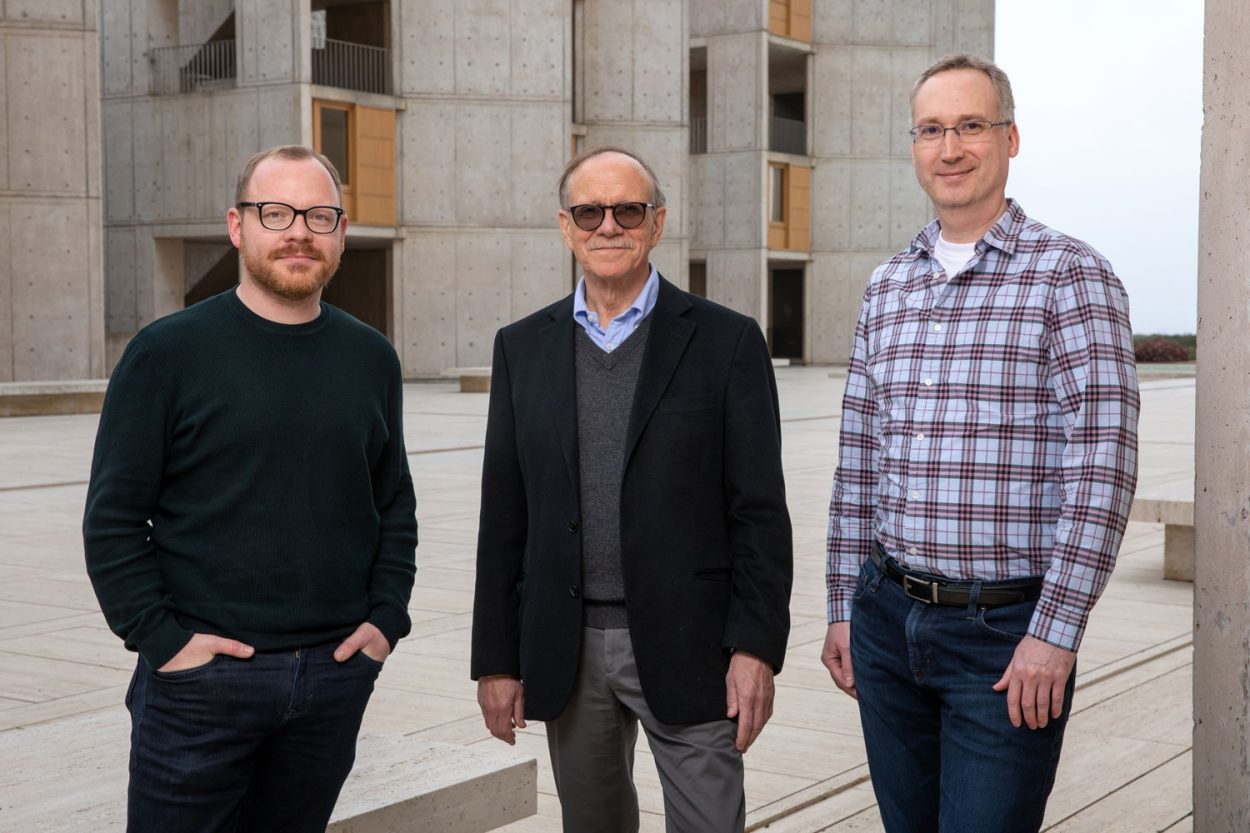 A new model for understanding human brain immune cells and neurological ...