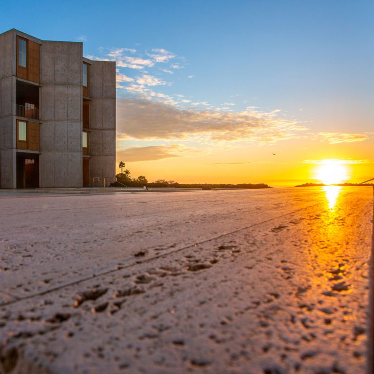 Salk Institute for Biological Studies