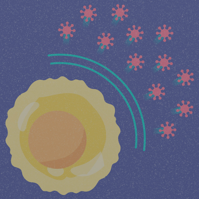 Immunobiology - Salk Institute for Biological Studies