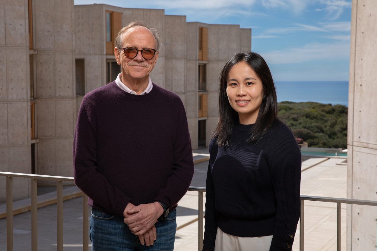 More than just neurons: A new model for studying human brain ...